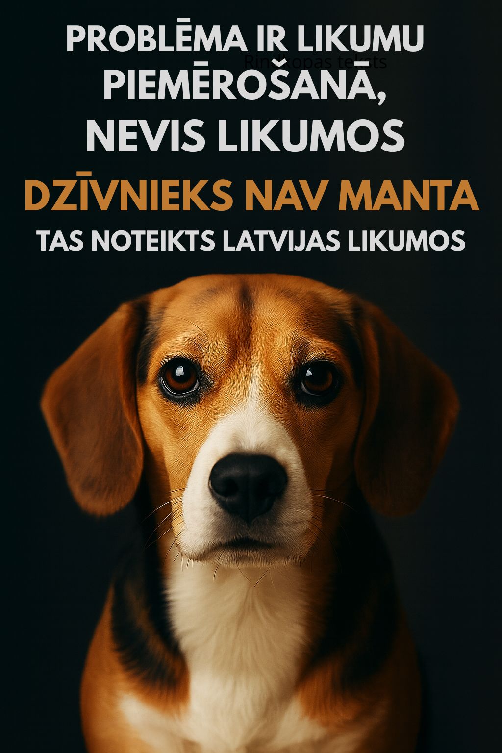 Dzīvnieku aizsardzība Latvijā nav atkarīga no Civillikuma grozījumiem – LVB